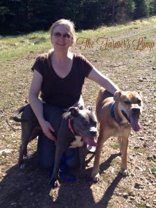 A Guide to Salting Food Preservation - Countryside